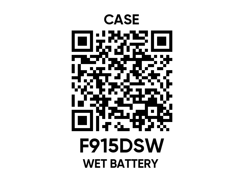 F915DSW WET BATTERY - Case spare part | 777parts.com