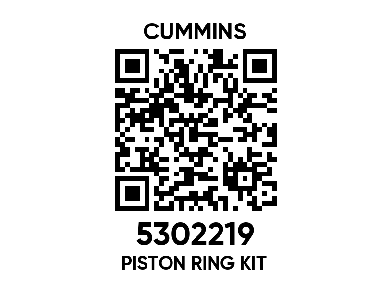5302219 Piston ring kit - Cummins spare part | 777parts.com
